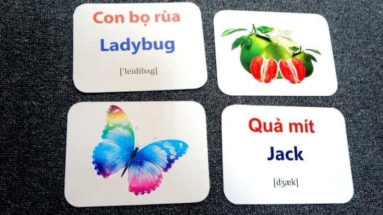 Học từ vựng bằng flashcard hiệu quả, siêu tốc, giúp nhớ lâu